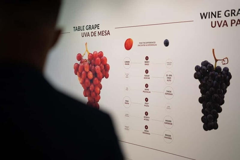 Porto: Fonseca Wine Cellar & WOW Wine Experience - Who Is This Tour Best For?