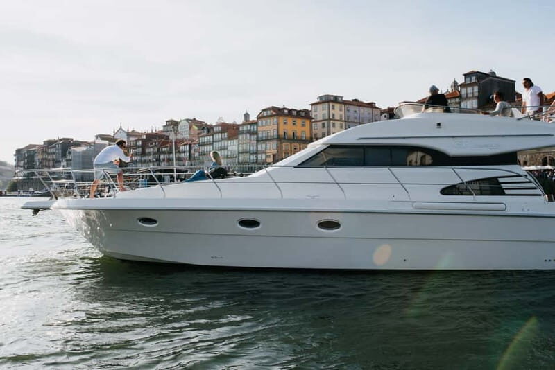 Porto: Full Day Douro River Cruise - 8h - Key Points
