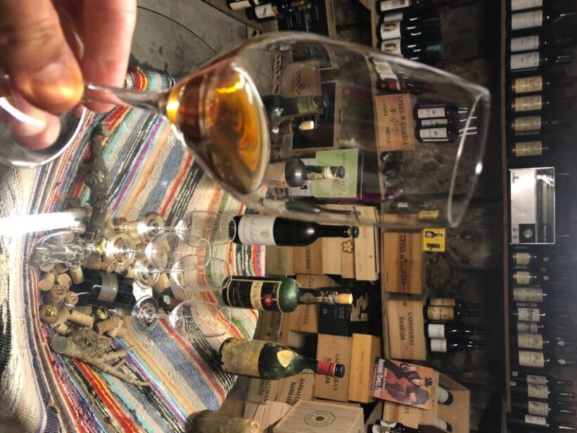 Porto Gourmet Guided Food Tour and Wine - Final Recommendations