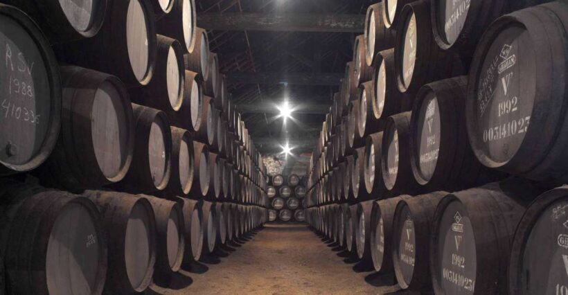 Porto: Graham's Port Lodge Tour with Premium Wine Tastings - An In-Depth Look at the Graham’s Port Lodge Tour