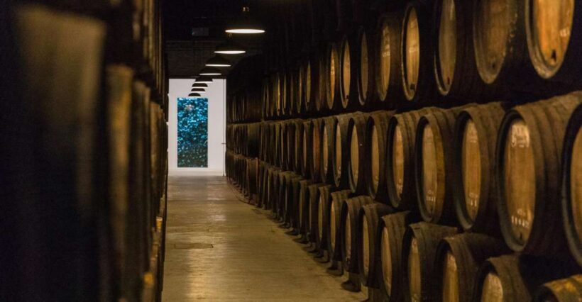 Porto: Guided Tour and Tasting of 3 Port Wines at Poças - Why This Tour Works for You