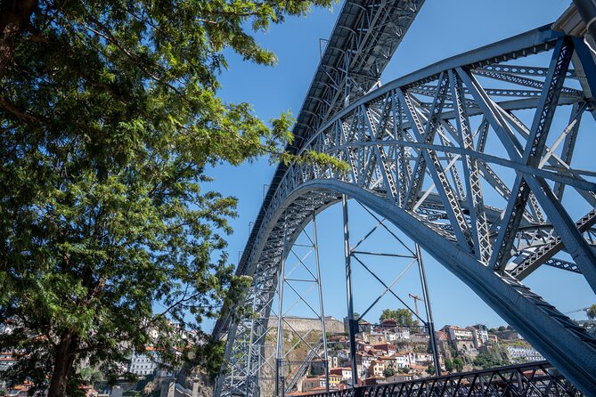 Porto Half-Day Guided Historical Tour With Port Cellar Visit and Tasting - Traveler Reviews and Feedback