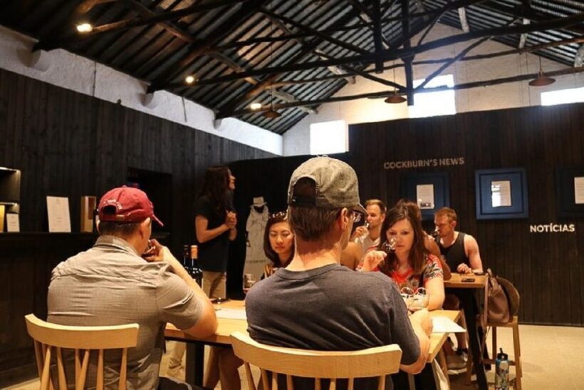 Porto Half-Day Tour & Port Wine Tasting - Porto Half-Day Tour & Port Wine Tasting: A Practical Guide for Curious Travelers
