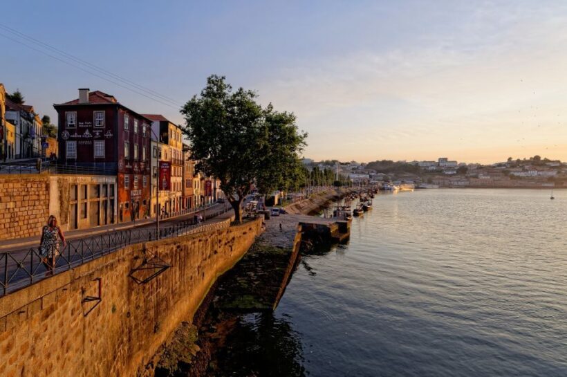 Porto Half Day Walking Tour: River Cruise & Wine Tasting - Key Points