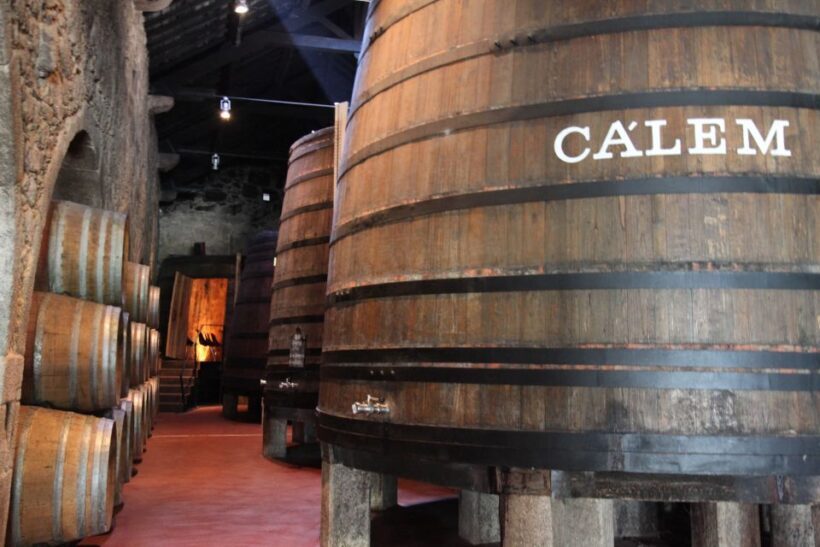 Porto: Hop-on Hop-off Bus with Optional Cruise & Wine Cellar - Key Points