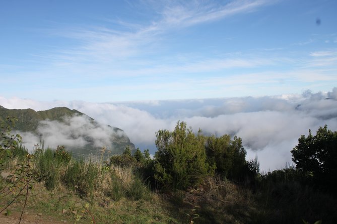 Porto Moniz 4x4 West Tour - Enjoying the Lava Pools of Porto Moniz