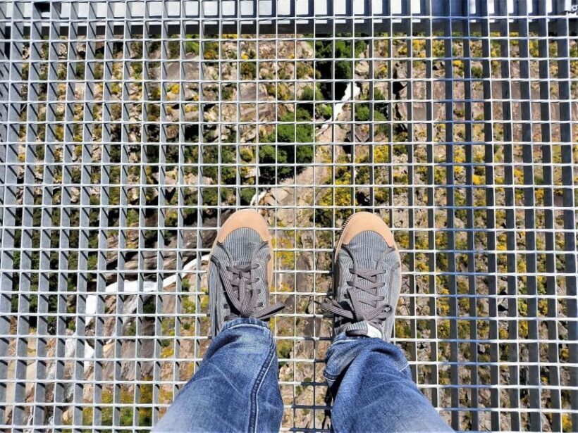 Porto: Paiva Walkways and Suspension Bridge Hike with Lunch - Final Thoughts