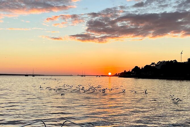 Porto: Port 6 Bridge Tour With Sunset Option,(Shared) - Tour Experience and Highlights