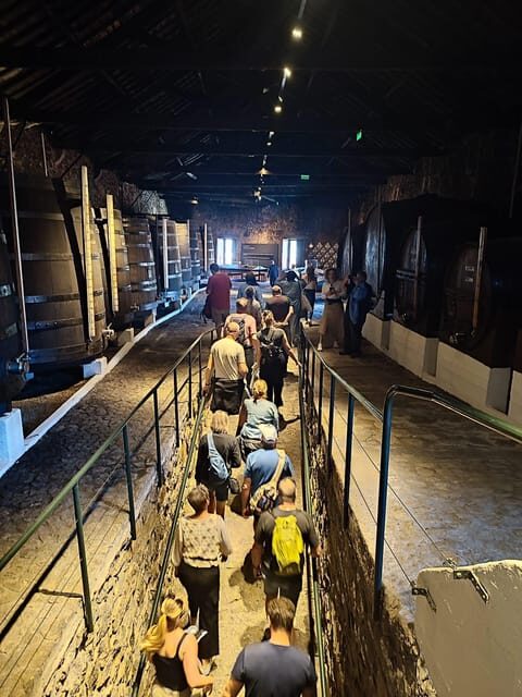 Porto: Port and Douro Wine Walking Tour with Tastings - The Value of This Tour
