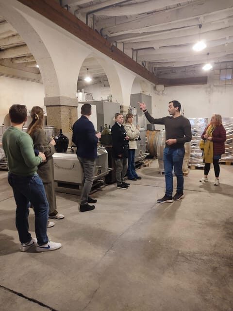 Porto: Port and Douro Wine Walking Tour with Tastings - Who Will Love This Tour?