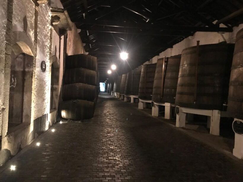 Porto + port cellar visit and tasting + sardine factory tour - Sardine Canning Factory Tour & Tasting