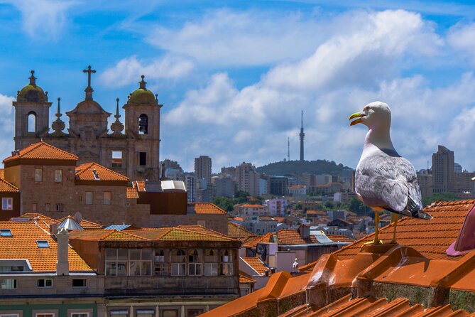 Porto Premium - Private Walking Tour - Booking and Cancellation Policy