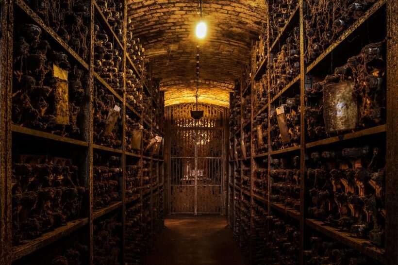Porto: Premium Tour at Real Companhia Velha - Discovering Real Companhia Velha: A Deep Dive