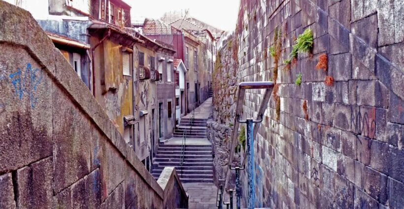 Porto: Private Bike Tour with a Local Guide - Who Should Consider This Tour?