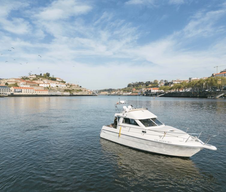 Porto: Private Douro River Sunset Cruise - An In-Depth Look at the Douro Sunset Cruise
