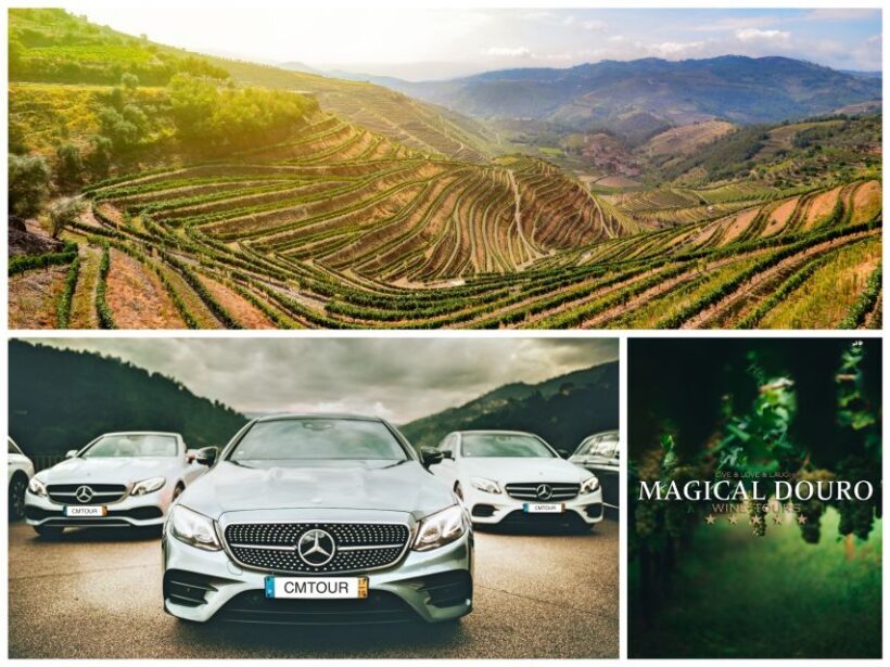 Porto: Private Douro Valley Day with Lunch - Who Will Love This Tour?