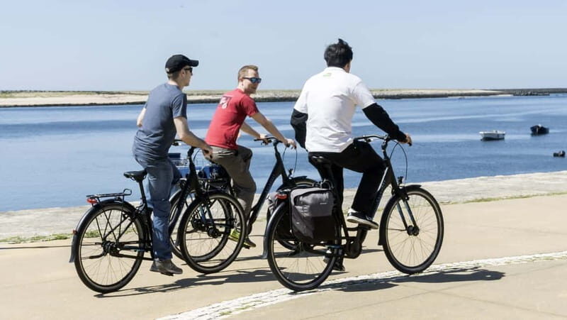 Porto Private E-Bike Tour: Douro River, Parks & Beaches - A Complete Picture of the Experience