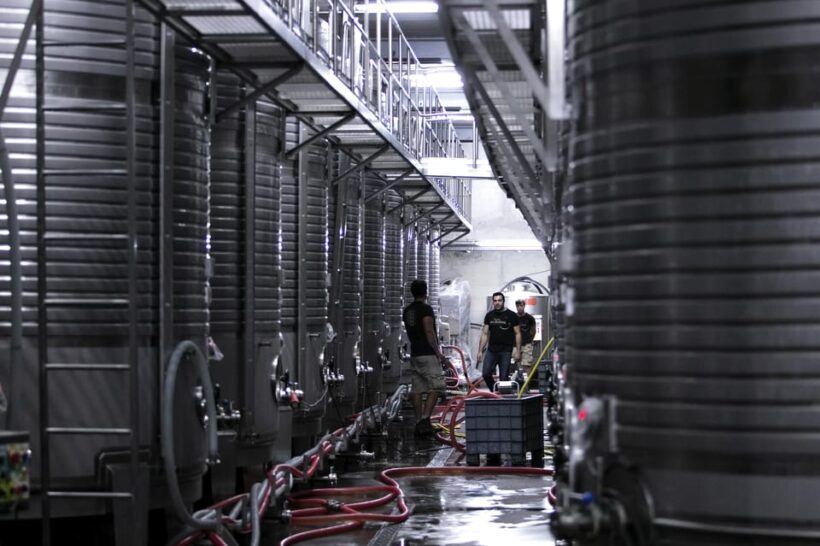 Porto: Private Green Wine Tour: Visit 2 Wine Estates & Lunch - Key Points