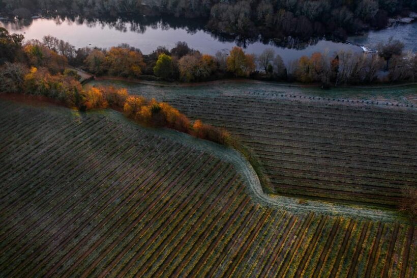 Porto: Private Green Wine Tour: Visit 2 Wine Estates & Lunch - FAQ