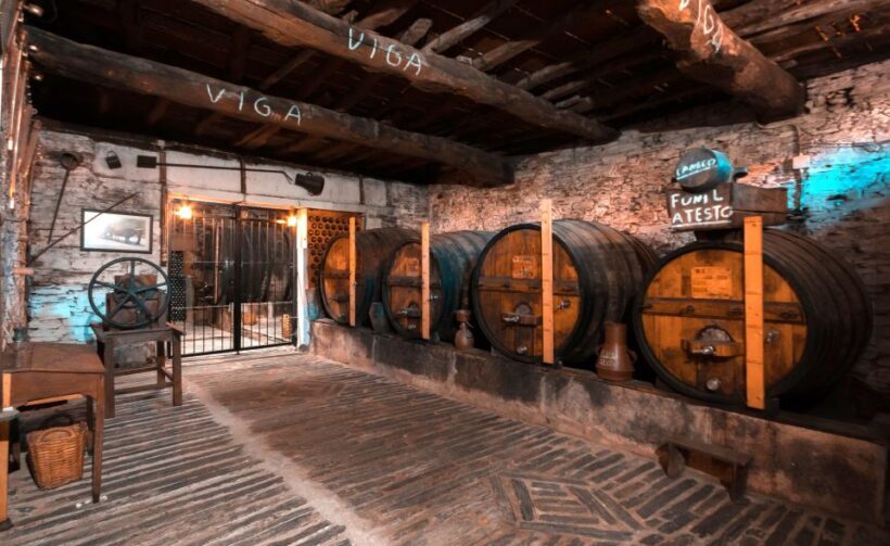 Porto: Private Tour Douro Valley/Winery SECXVIII /Boat/Lunch - Introduction: An Authentic Day in the Douro Valley