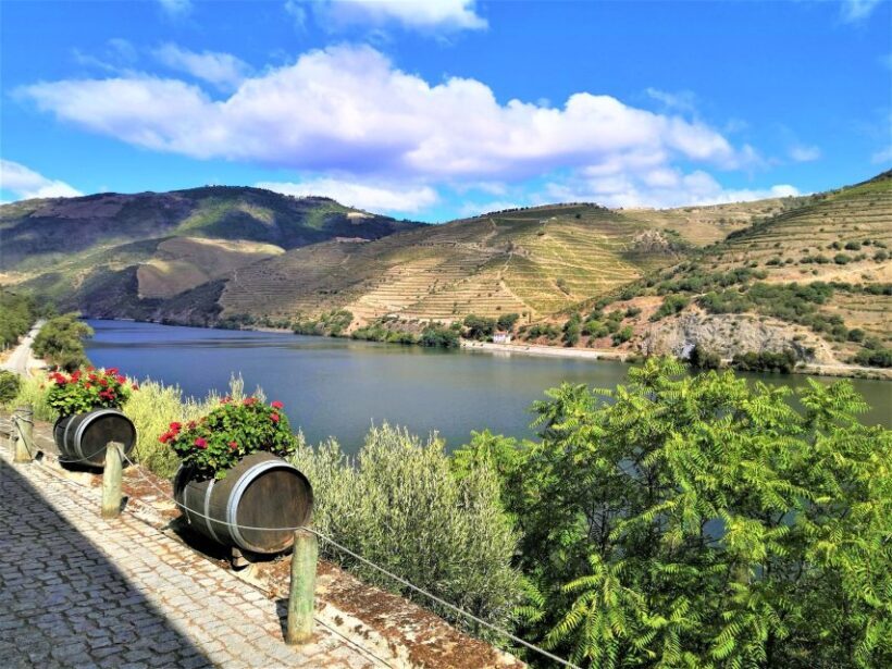 Porto: Private Tour Douro Valley/Winery SECXVIII /Boat/Lunch - Who Will Love This Tour?