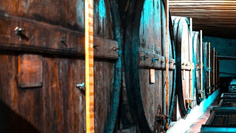 Porto: Private Tour Douro Valley/Winery SECXVIII /Boat/Lunch - Final Thoughts: Is It Worth It?