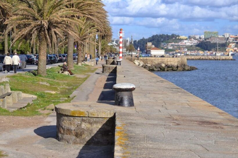 Porto Private Tour - Highlights and Tram Tickets - A Well-Rounded Introduction to Porto’s Highlights