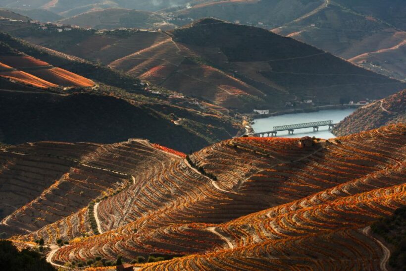 Porto: Private Tour - Wineries, Tastings, Picnic, boat trip - FAQ