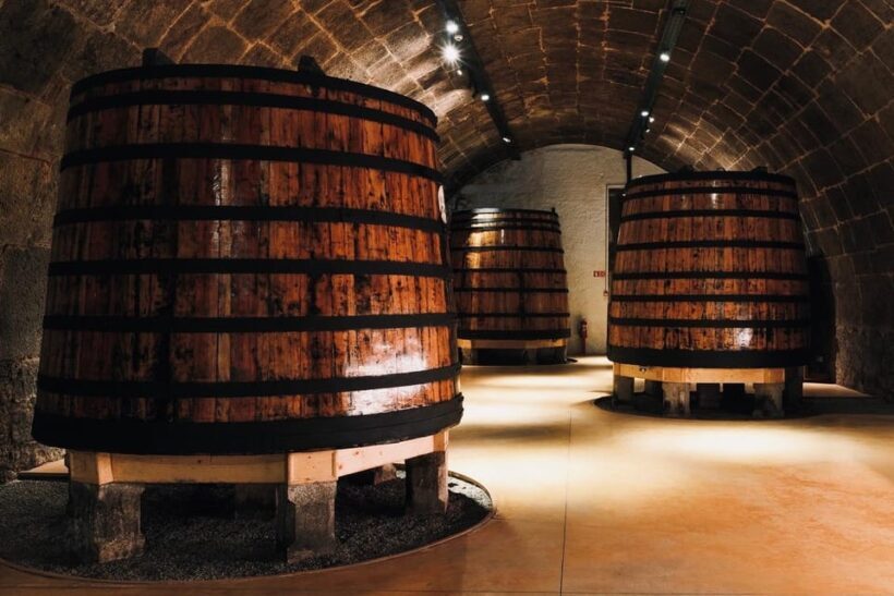 Porto: private tour with premium tasting at Fonseca cellars - An In-Depth Look at the Fonseca Cellars Tour