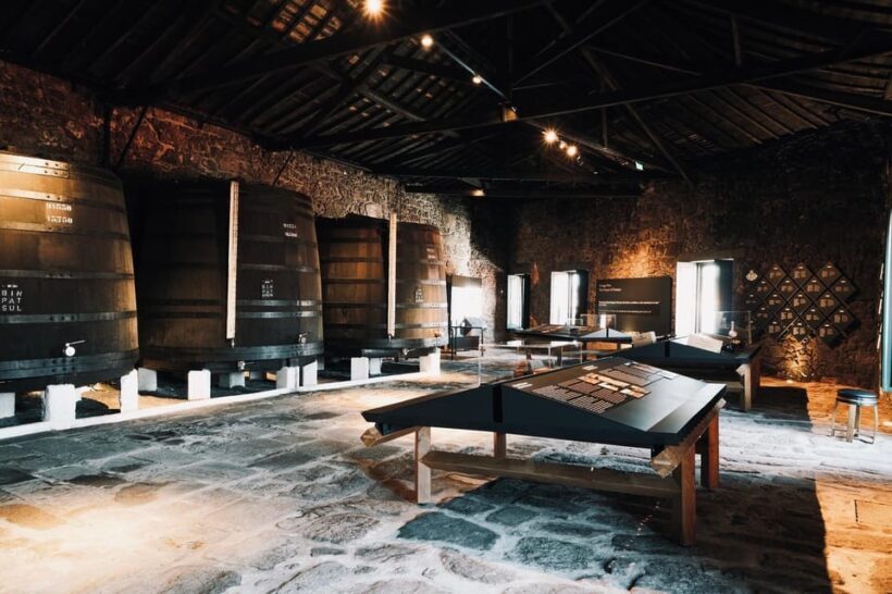 Porto: private tour with premium tasting at Fonseca cellars - FAQ