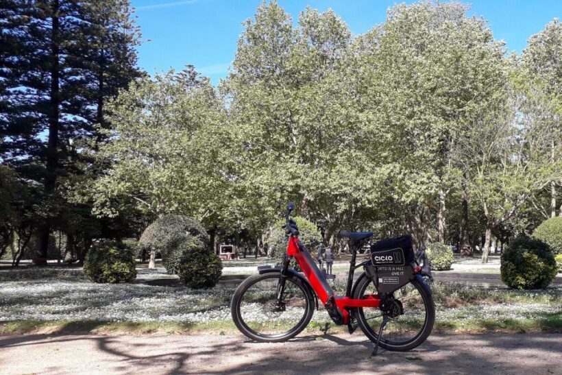 Porto Riverbank Tour on an e-bike: Atlantic Coast, Gardens - Value for Money