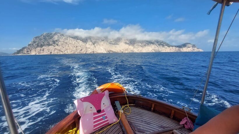 Porto San Paolo: Day Tour to Tavolara and Molara fish-Lunch - Who Would Love This Tour?