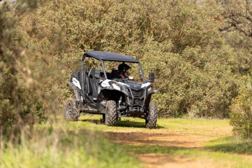 Porto Santo: 180 Minutes Off-Road Buggy Tour - An Adventure Through Porto Santo’s Rugged Heart