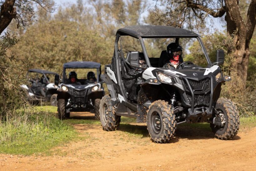 Porto Santo: 180 Minutes Off-Road Buggy Tour - Authenticity and Reviews