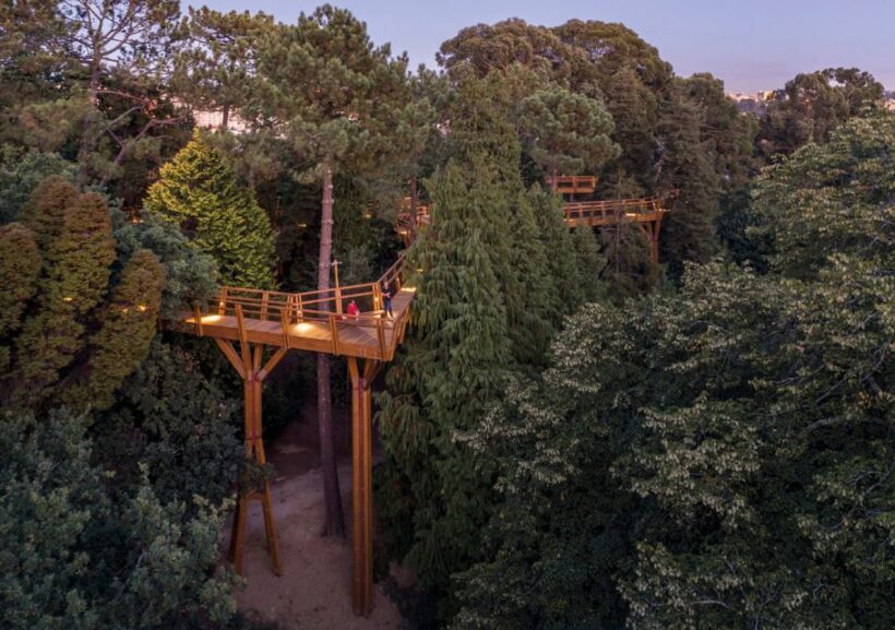 Porto: Serralves Park Entry Ticket - Introducing the Serralves Park Entry Ticket Experience