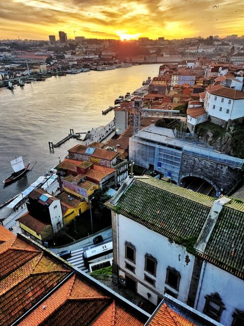 Porto: Sightseeing Tour - Who Is It Not For?