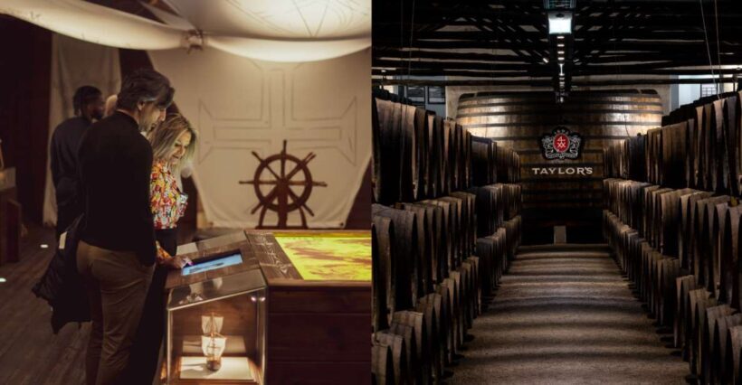 Porto: Taylors Port Cellar Tour & WOW Museum Pack - Discovering the Tour: A Balance of Culture and Flavour
