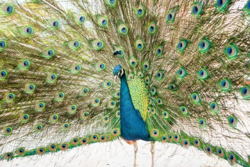 Porto: Taylor's Port Cellars & Tasting - Who Should Consider This Tour