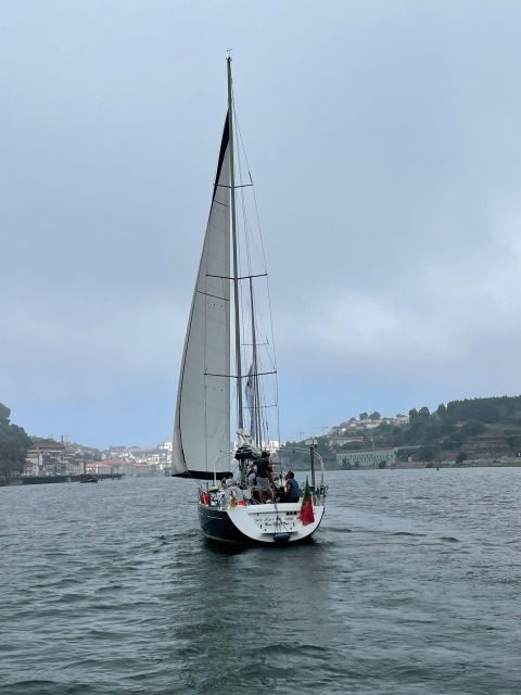 Porto: The Best Douro Boat Tour - An Authentic Porto Experience on the Water