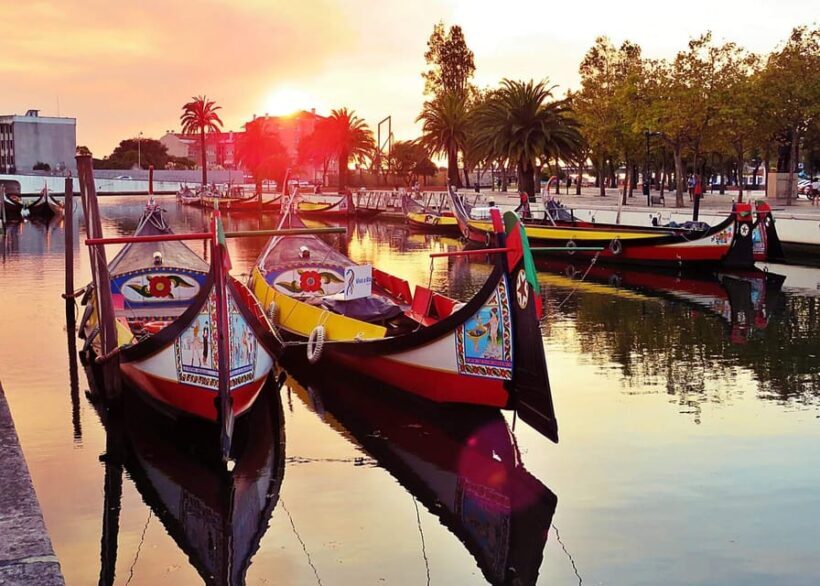 Porto to Lisbon with Aveiro-Coimbra-Fátima-Nazaré-Óbidos - Who This Tour is Best For