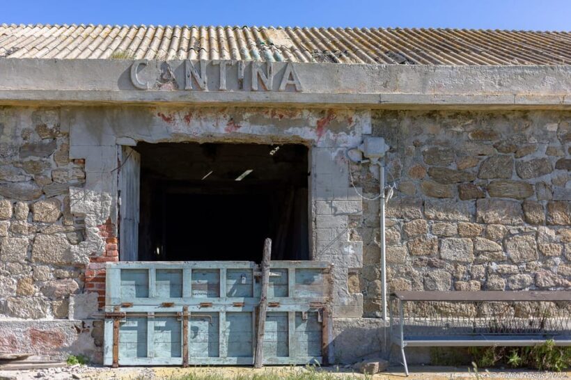 Porto Torres: rent your mountain bike to discover Asinara - The Sum Up