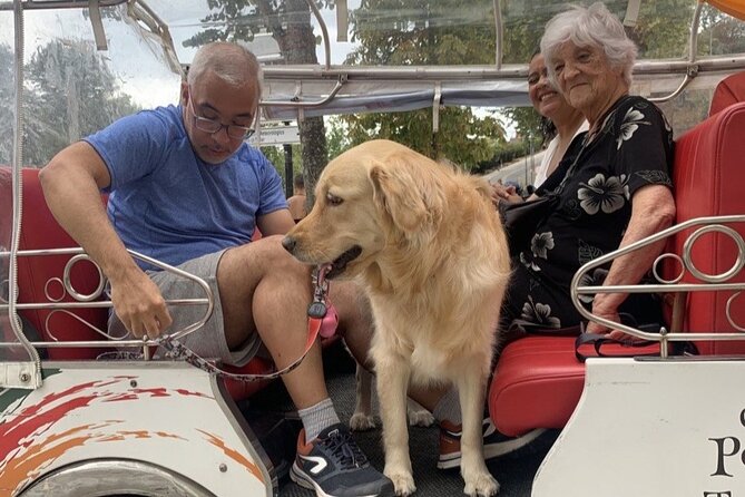 Porto: Tuk Tuk Adventure Tours Old Town 1h - Frequently Asked Questions