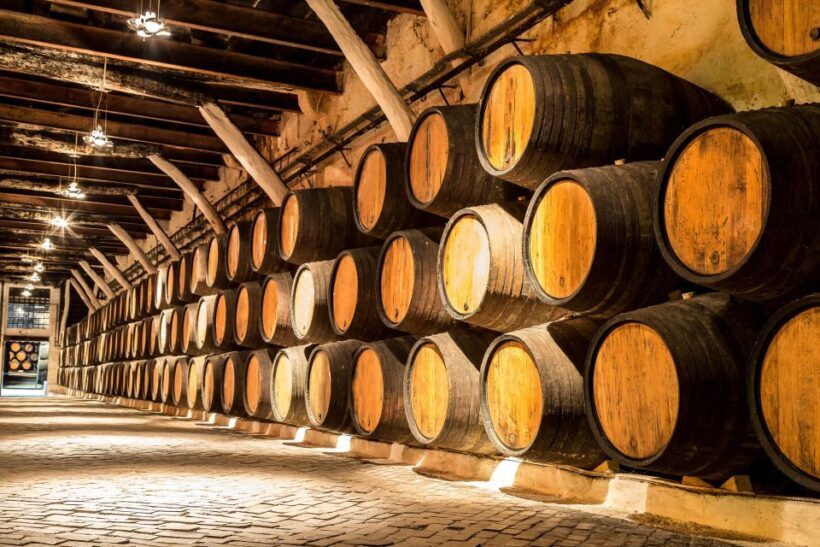 Porto: Tuk-Tuk Tour, Douro River Cruise, and Wine Tasting - Final Thoughts: Who Will Love This Tour?