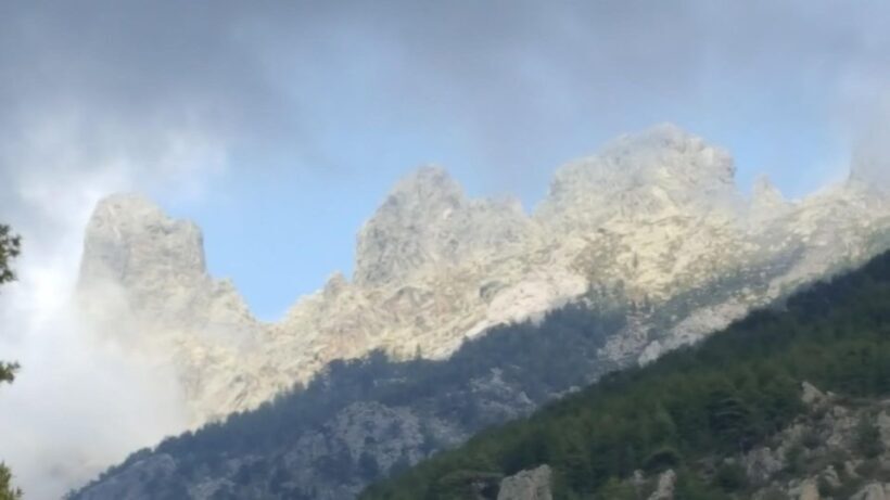 Porto Vecchio: Cuscionu Plateau & Alta Rocca 4x4 Tour - Authentic Experiences and Guest Impressions