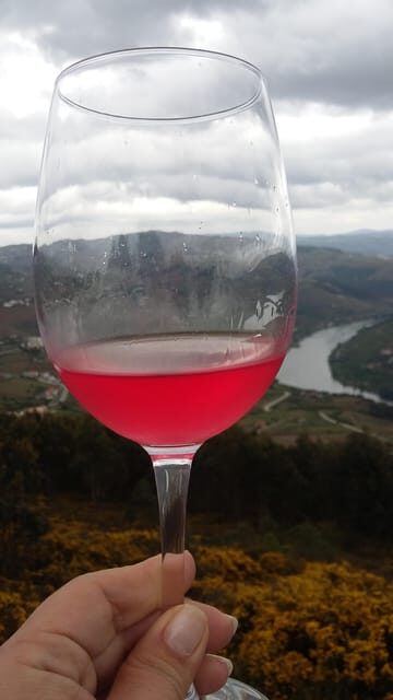Porto: Wine Tasting Class with 4 Wines in Portus Wine - Who Will Love This Experience?