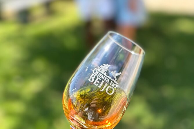 Porto Wine Tasting With GUIDED TOUR - Visiting the Quinta Do Beijo Winery
