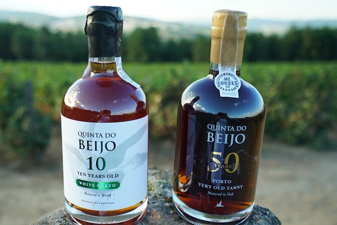 Porto Wine Tasting With GUIDED TOUR - Gaining Insights From the Knowledgeable Guide