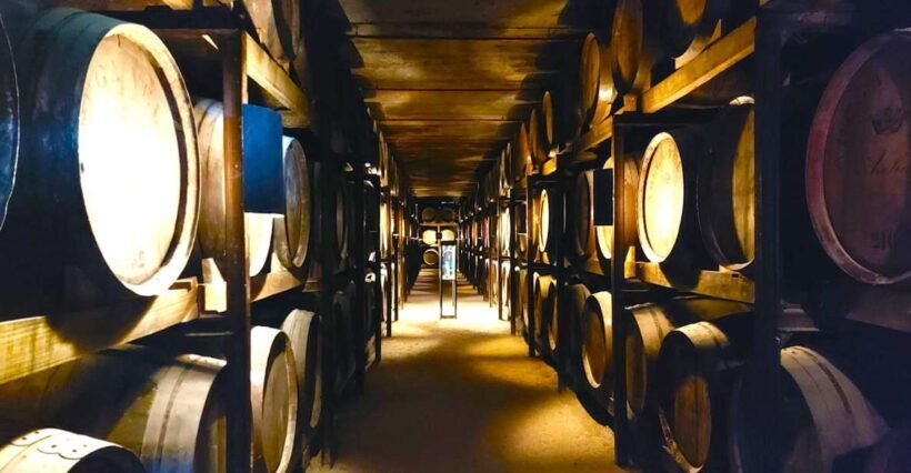 Porto: Wine Tastings (Green Wine) & Tradicional Lunch - Key Points