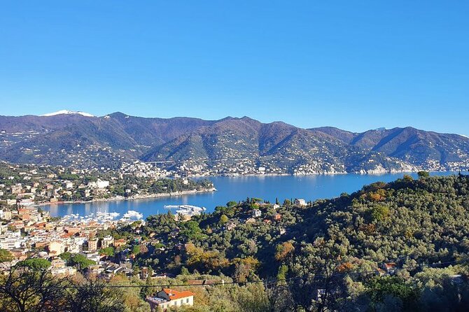Portofino and Santa Margherita Private Tour of Ligurian Gems - Taking in Local Culture and Cuisine