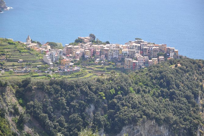 Portovenere and the Cinque Terre Private Shore Excursion from La Spezia - Who Will Benefit Most?